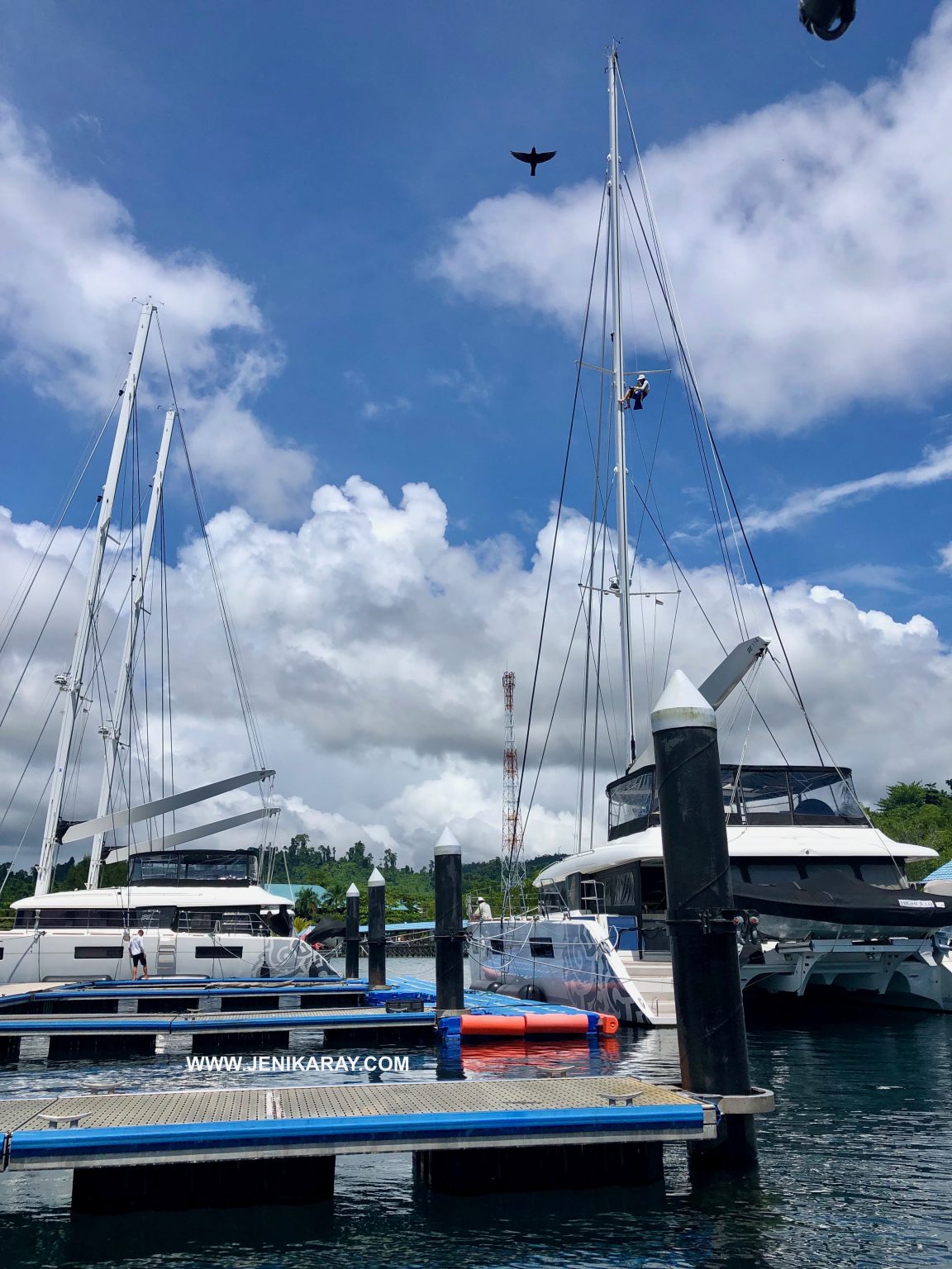Staycation di Meridian Adventure Dive Resort, Resort Terbaik di Raja ...